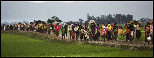 Understanding the Rohingya Genocide: History, Current Situation, and ...